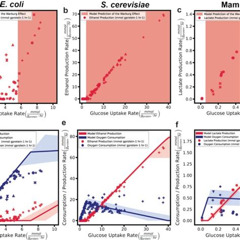 Organism Specific Model Predictions Of The Warburg Effect Abc Download Scientific Diagram