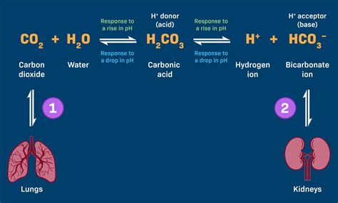 Dhs Dme And Norcet Aiims Sajith Kumar Nursing Tutorials Facebook