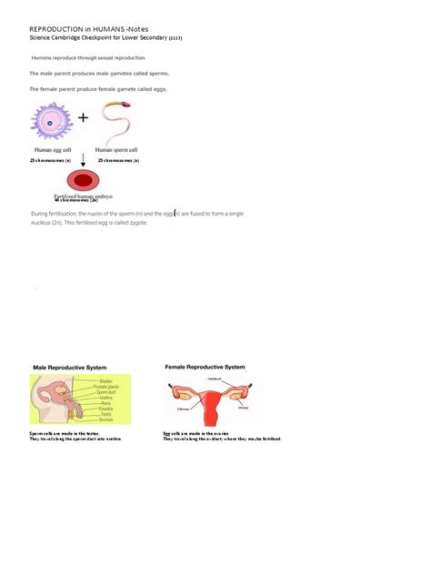 Reproduction In Human Notes Science Secondary Checkpoint Pdf
