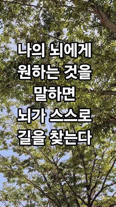 Nlp 신경언어프로그래밍 자기암시 변화의시작 뇌의힘 운명 인생바꾸기 기회 Youtube