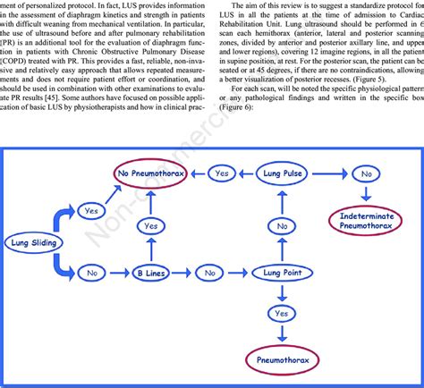 Flow Chart On Diagnosing Pneumothorax This Flow Chart Suggests The Download Scientific Diagram