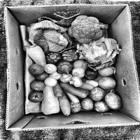 Flipkartgrid60 Object Detection Dataset And Pre Trained Model By Flipkart Project