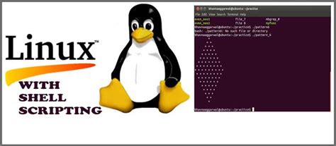 Linux Training In Noida Shell Scripting And Server Administration