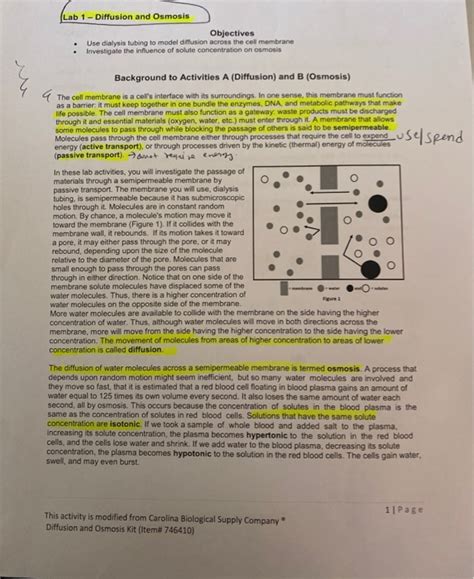 Diffusion And Osmosis Lab