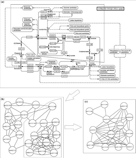 Cdisc Adam Analysis Purpose Terminology Semantic Scholar