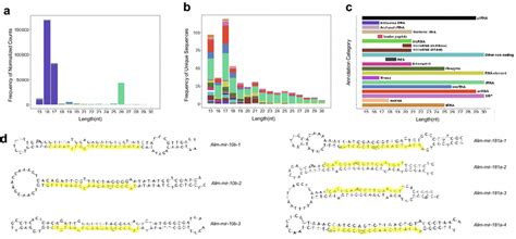 rfam database annotation of the maternally packaged sncrna