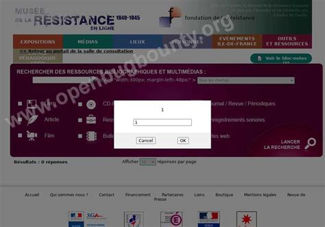 Cross Site Scripting Vulnerability Obb
