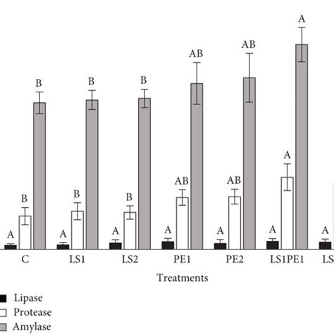 Digestive Enzymes Activity Including Lipase Protease And Amylase