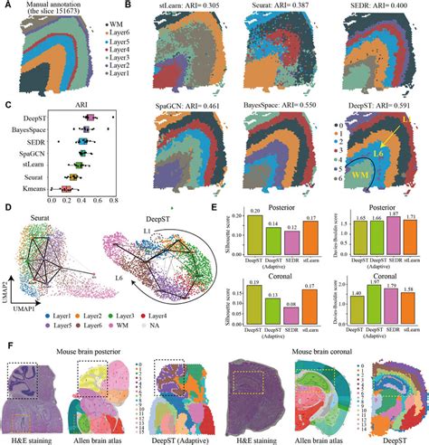 Deepst Improves Spatial Domain Recognition In Brain Tissue A Dlpfc