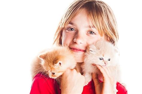 꽃밭에 앉아있는 두 마리의 귀여운 새끼 고양이 색칠하기놀이 귀여운 색칠 그림 배경 일러스트 및 사진 무료 다운로드 Pngtree