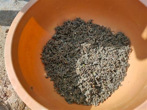 Uds Living Lab Incitis Food