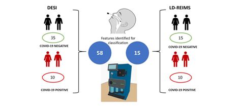 Schematic Of Ambient Mass Spectrometry Analysis Pipeline For Feature Download Scientific