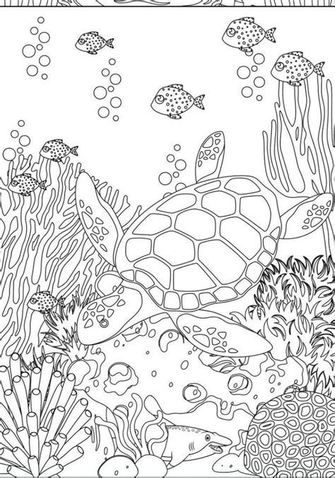 Ocean Coloring Pages Colored 2025