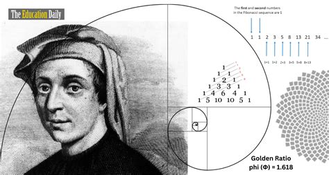 Fibonacci Day Unveiling The Mathematical Beauty Of The Golden Ratio — The Education Daily