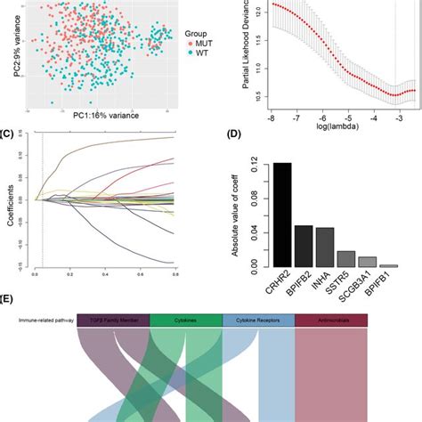 Identification Of Immune‐related Models Index Irm Index A
