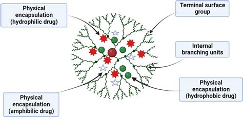 Showing Structure Of Dendrimer Download Scientific Diagram