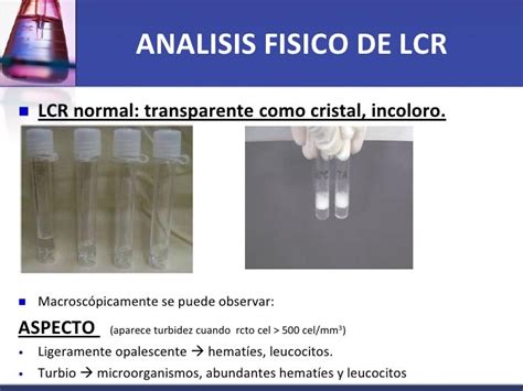 Analsis Liquido Cefalorraquideo Final