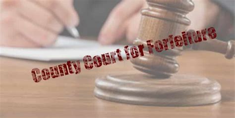 Section 146 Forfeiture Notice What When And How Legalo