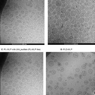 Kinetics Of MLP Cleavage And MMC Release By DTT PL MLP And PLAD MLP Download Scientific