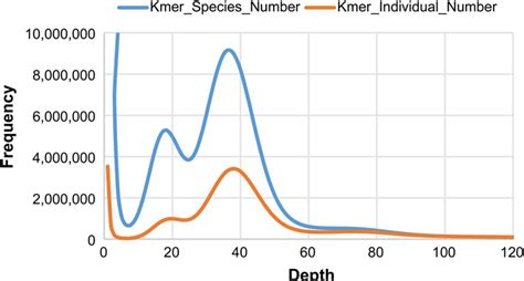 K Mer Analysis For Melaleuca Alternifolia Genome Size Estimation Download Scientific Diagram