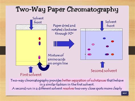 Paper Chromatography Ascending Descending Circular 2 Dimensional Unit Iii Pptx