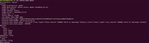Unable To Login As User To A Copied Container Lxc Linux Containers Forum