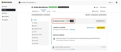 Manually Migrate Sites To Pantheon Pantheon Docs