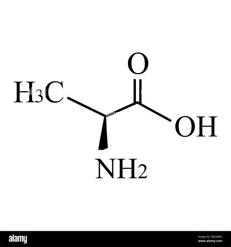 Alanine Amino Acid Structure