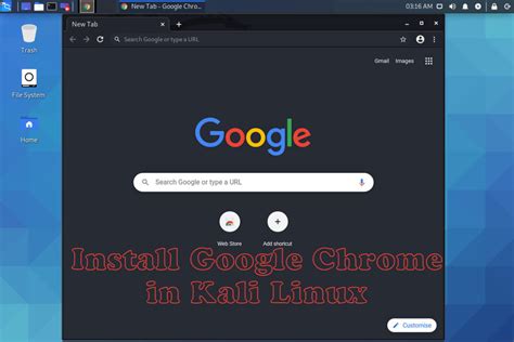 How To Install Tor Browser In Kali Linux TECH DHEE