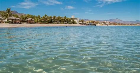 Nopoló El Secreto Mejor Guardado De Baja California Sur Que Tienes Que