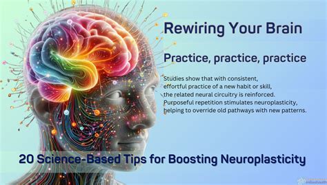 Rewiring Your Brain 20 Science Based Tips For Boosting Neuroplasticity Milao Haath