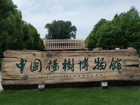 泗阳杨树网站 泗阳树 泗阳树博物馆 大山谷图库