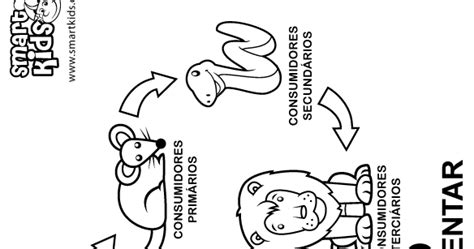 Desenhos Cadeia Alimentar Imprimir E Colorir Desenhos Colorir Pintar Atividades Imprimir