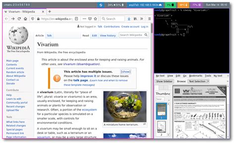 Vivarium Dynamic Tiling Wayland Compositor Using Wlroots Linuxlinks