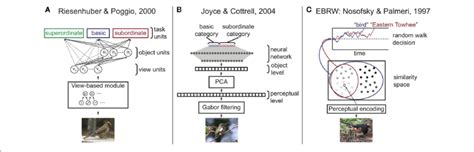 Illustration Of Three Computational Models Of Visual Object Download Scientific Diagram