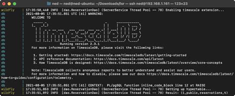 Creating A Wildfly Docker Image With Timescaledb Support