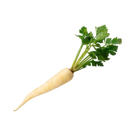 AI Generated Floating Of Parsnip Without Shadow Isolated Transparent Background 36265614 PNG