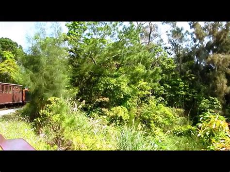ネオパーク沖縄軽便鉄道花列車バージョン YouTube