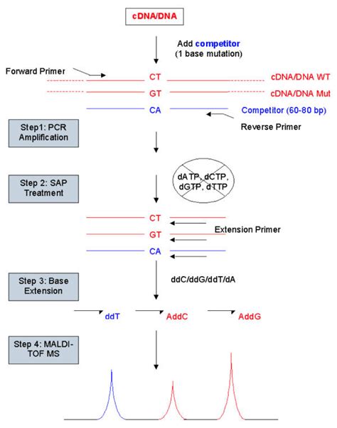 Schematic View Of Quantitative And Allele Specific Expression Analysis
