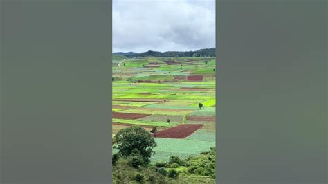 တောင်ပေါ်ဒေသအလှ မြန်မာ Travel လေလွင့်သူတွန်တေး မော်ဒလ်သရုပ်ဆောင်