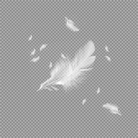 唯美白色羽毛元素模板下载觅知网