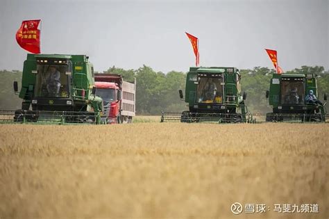 从品质“粮”心到乡村振兴，读懂古井贡酒的双重表达 文 李如婷遵循时令，是酿一瓶好酒的基本功。6月，小麦成熟，即将开启从一粒粮到一滴酒的蜕变