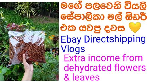 මල් සහ කොල වේලලා නිවසේ ඉඳන්ම සල්ලි හොයන්න පුලුවන් බව දැනන් හිටියේ නැද්ද මේ චැනල් එකේ වීඩියෝ
