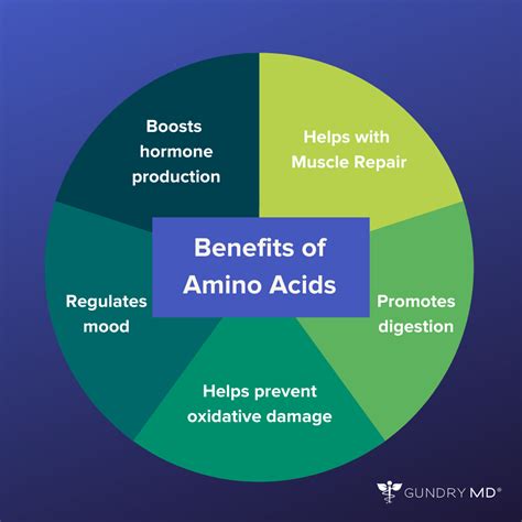 Amino Acids For Health Benefits At Scott Drain Blog