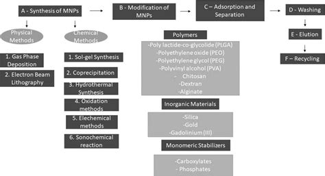 2 Bioseparation Steps By Means Of Mnps Download Scientific Diagram