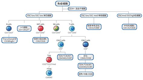 Human Immunophenotyping Spectrum Flow Cytometry Panel 优宁维