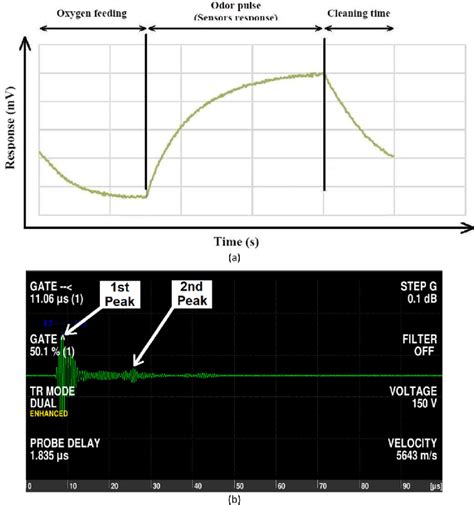 A Reaction Of An Olfactory Sensor In Different Operation Stages Of The Download Scientific