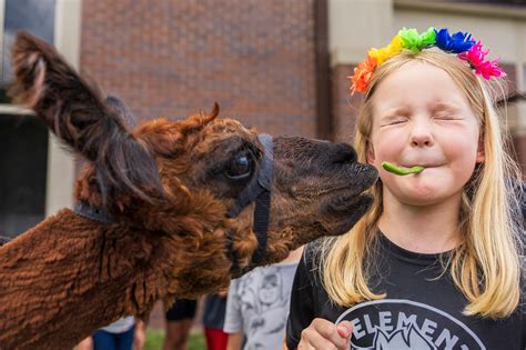 Lincoln Man Sentenced For Making Sex Video With Year Old