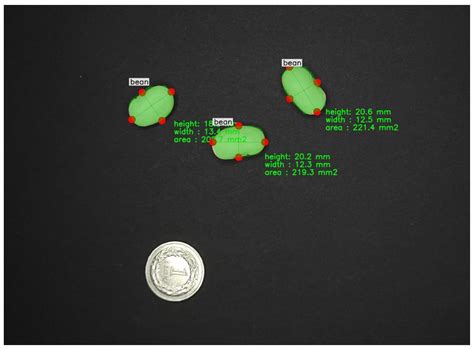 Implementing Yolo Convolutional Neural Network For Seed Size Detection
