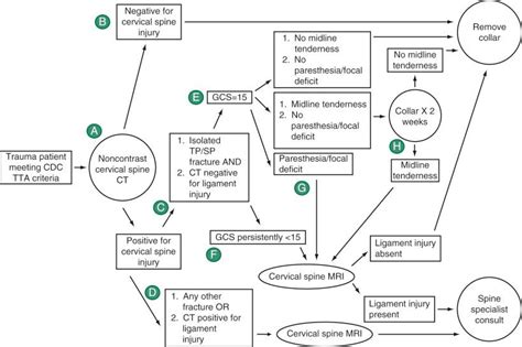 Cervical Spine Injury Clinical Tree